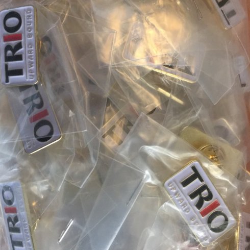 TRIO Upward Bound Lapel Pin | Proforma TRIO Ideas